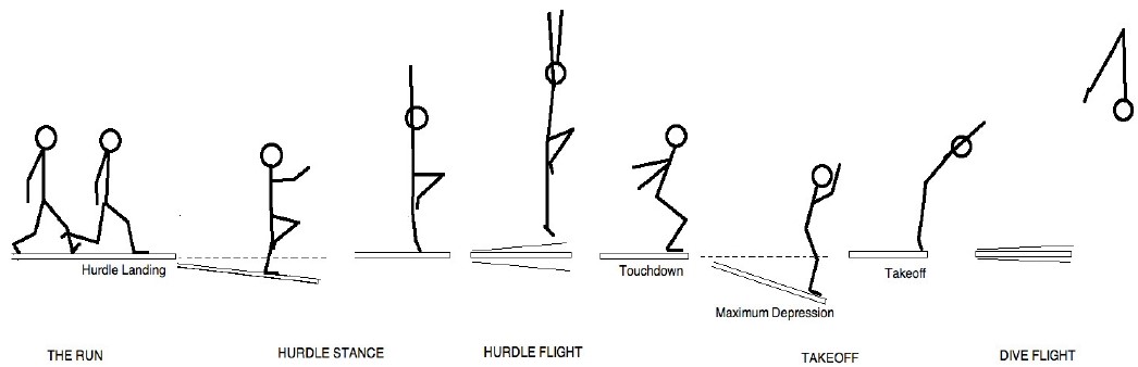 Jump or Dive? - Ashley's Blog - APlusPhysics Community